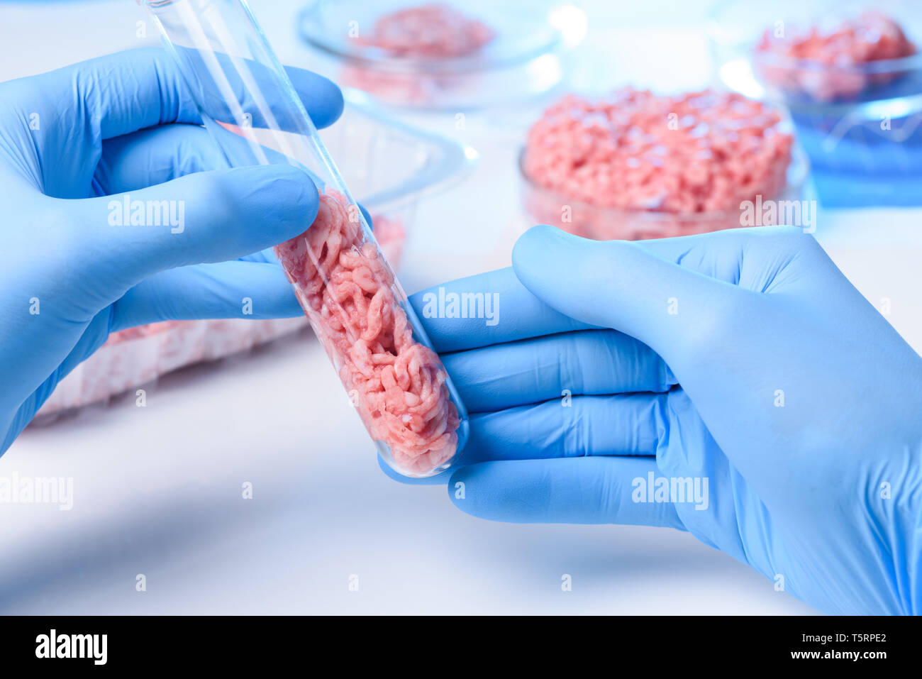 Laboratory meat hand hi-res stock photography and images - Alamy
