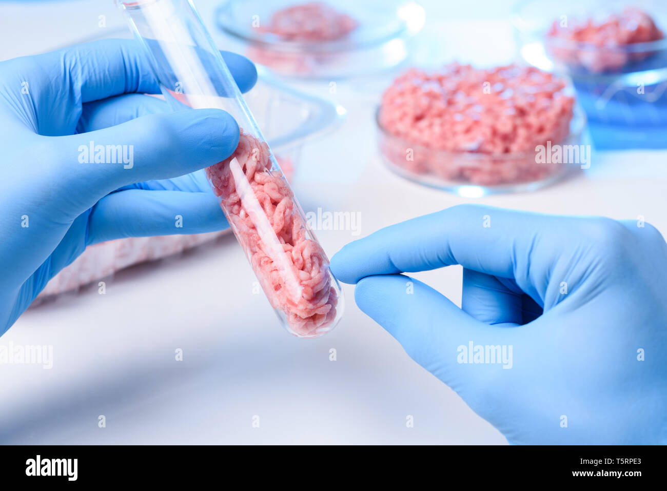 Ground beef lab hi-res stock photography and images - Alamy