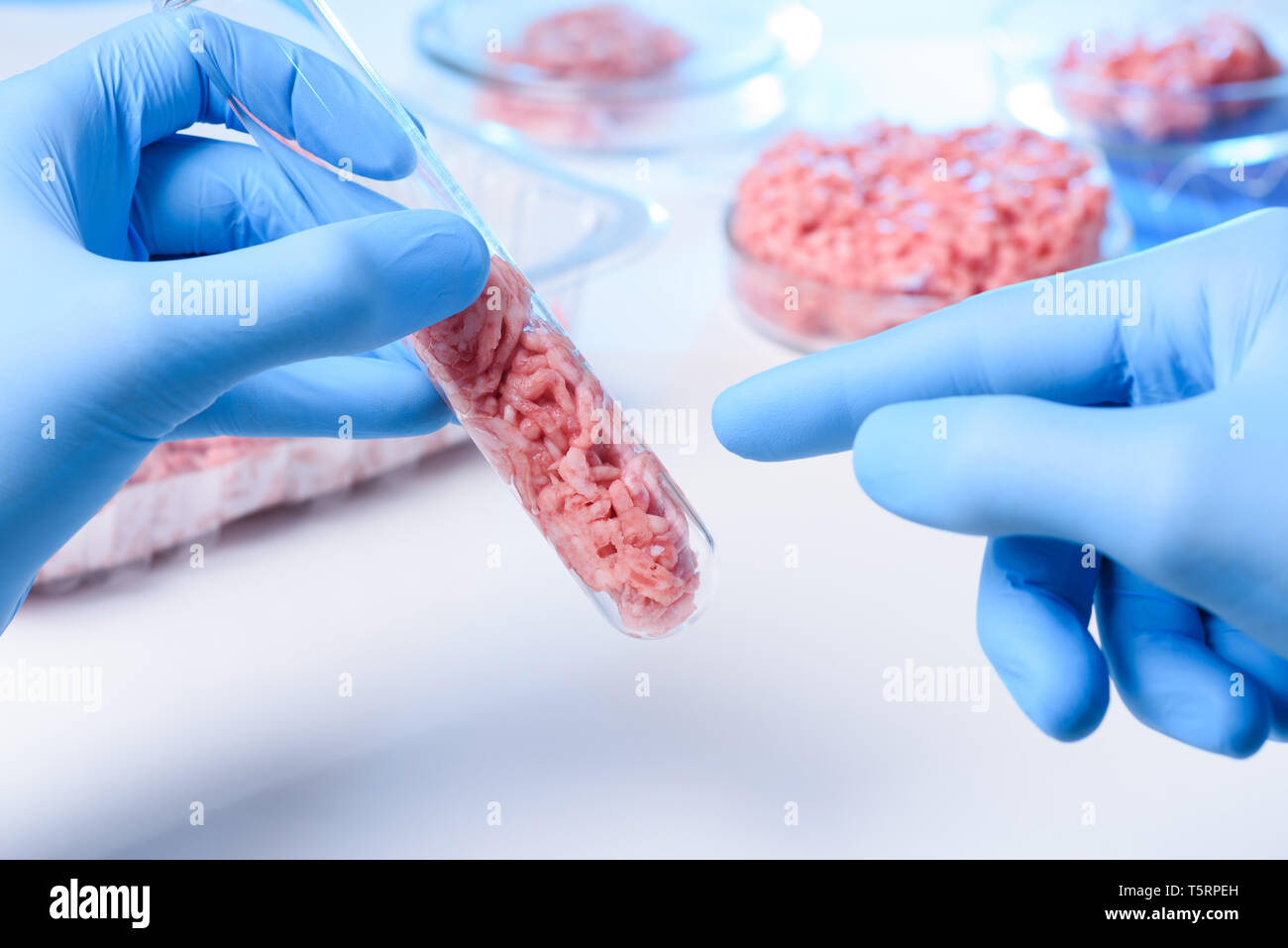 Ground beef lab hi-res stock photography and images - Alamy