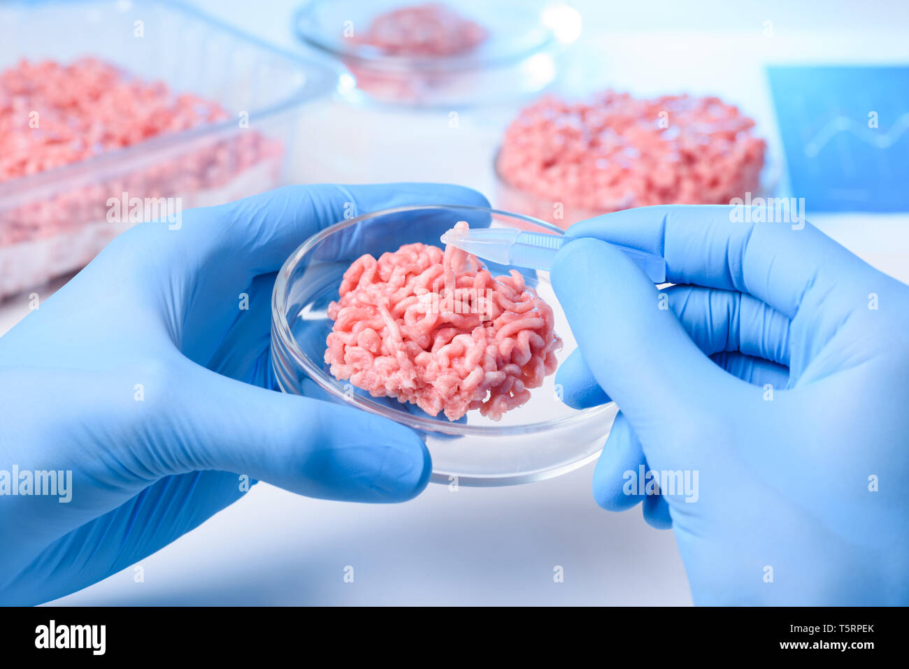 Ground beef lab hi-res stock photography and images - Alamy
