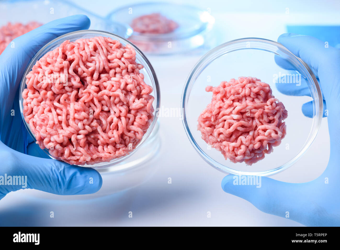 Ground beef lab hi-res stock photography and images - Alamy