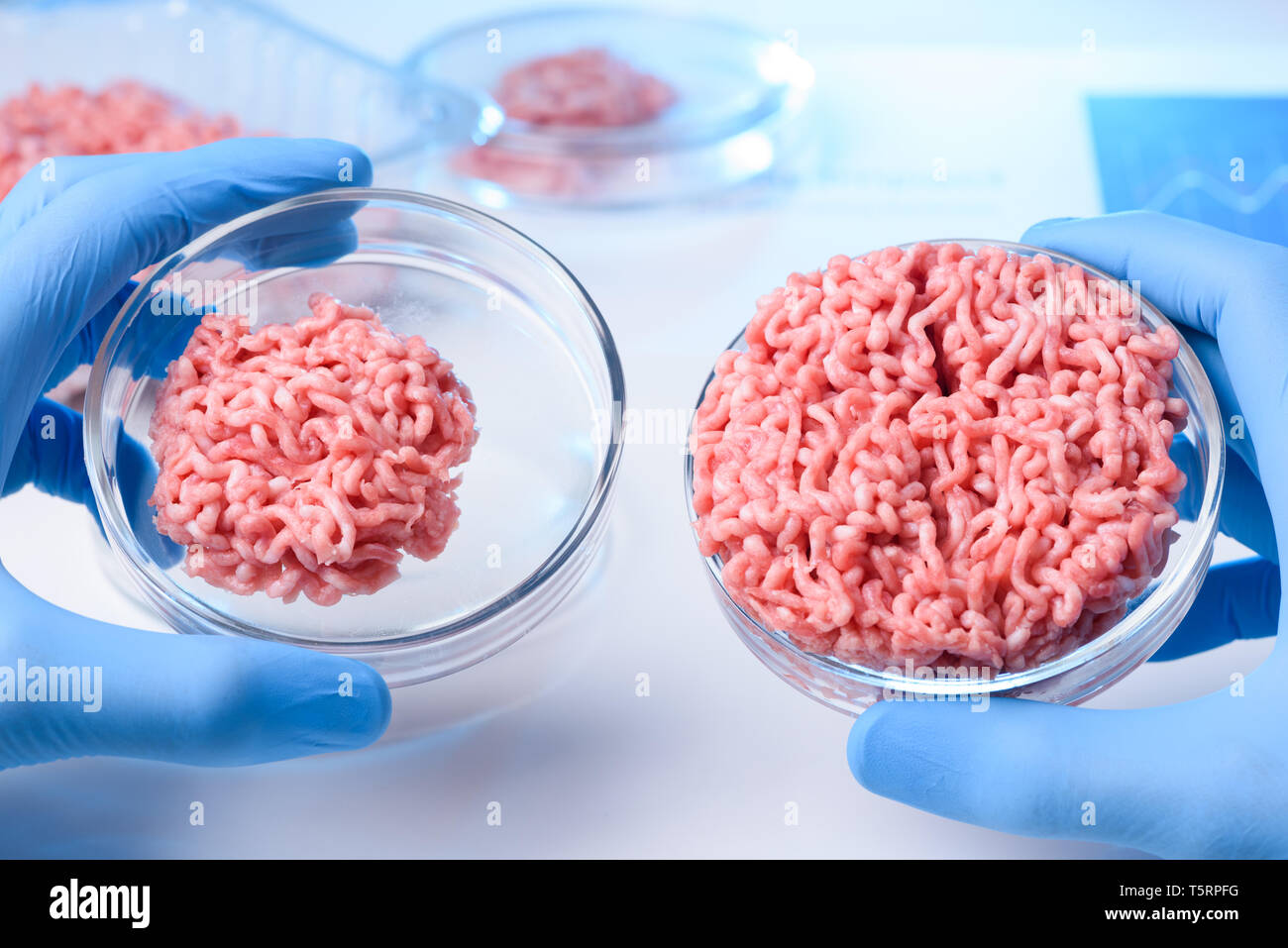 Ground beef lab hi-res stock photography and images - Alamy