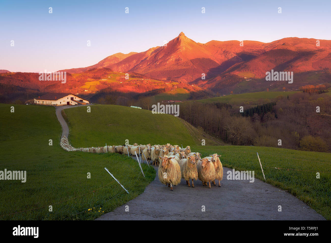 Lazkaomendi High Resolution Stock Photography and Images - Alamy