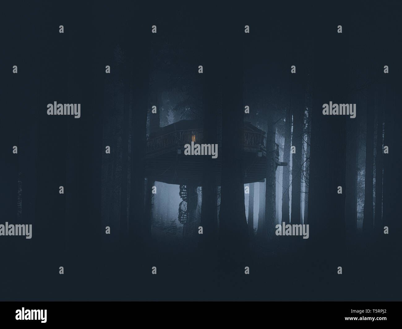scary tree house in mysterious forest Stock Photo - Alamy