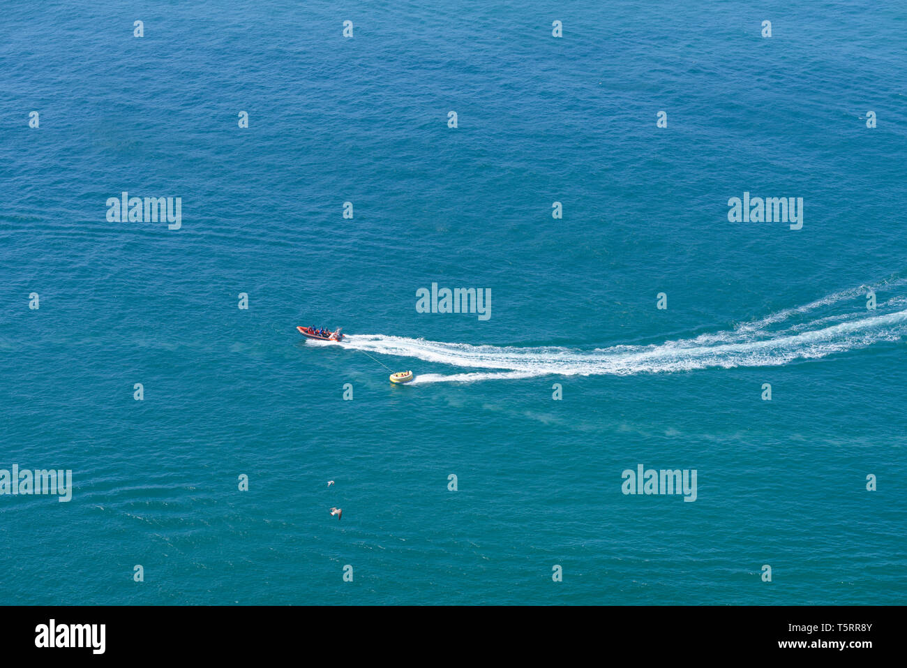 Speed boat birds eye view hi-res stock photography and images - Alamy
