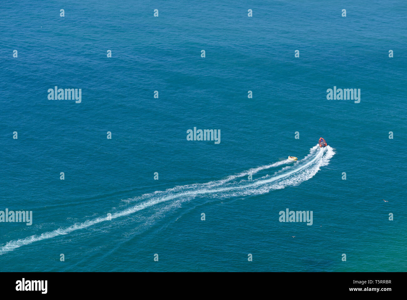 Tourists taking ride by speed boat on rubber tube boat on waves in ...
