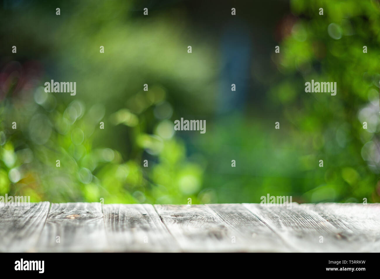 Abstract bokeh and blurred colorful nature background model used to ...