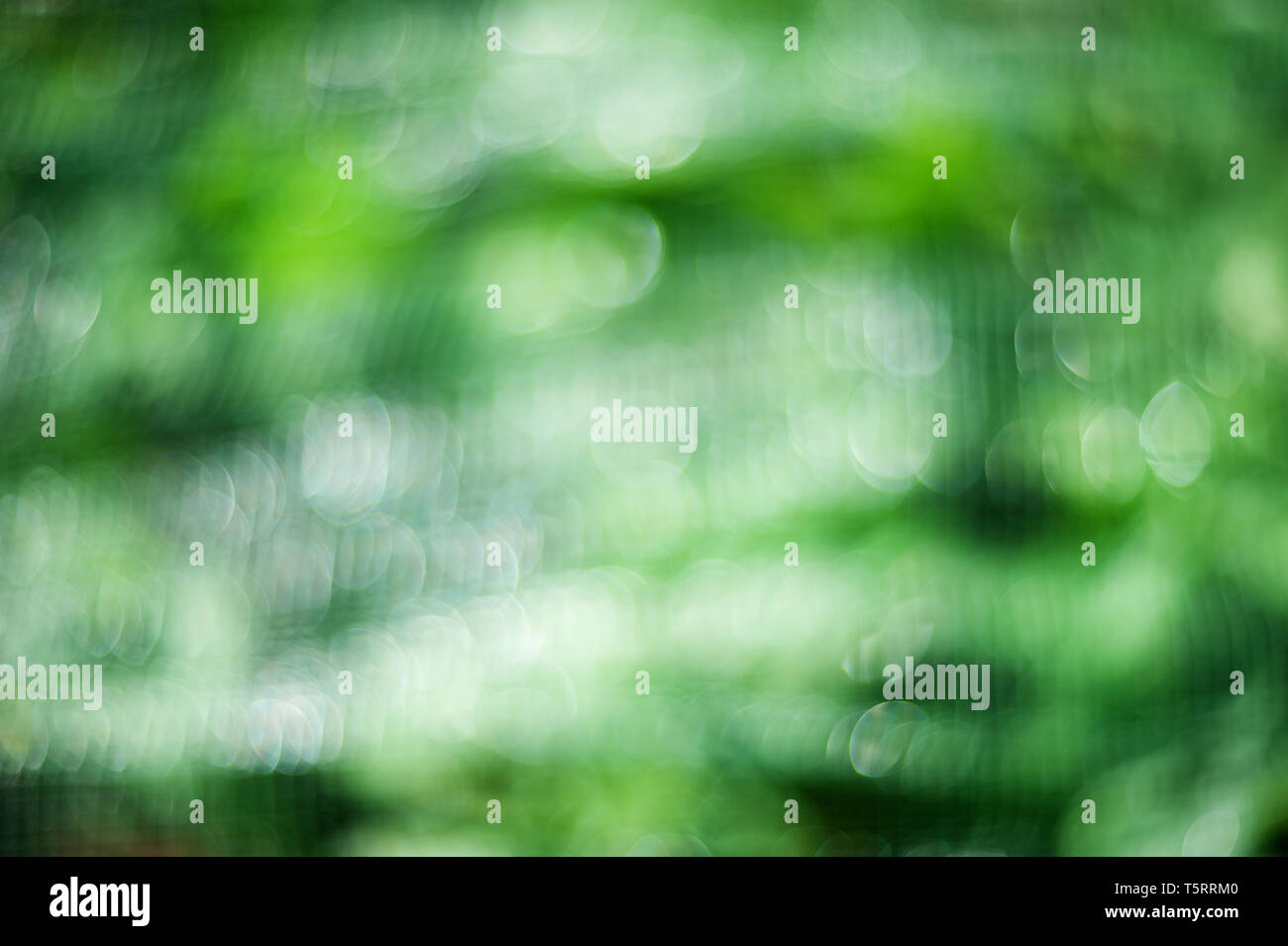 Abstract bokeh and blurred colorful nature background model used to ...