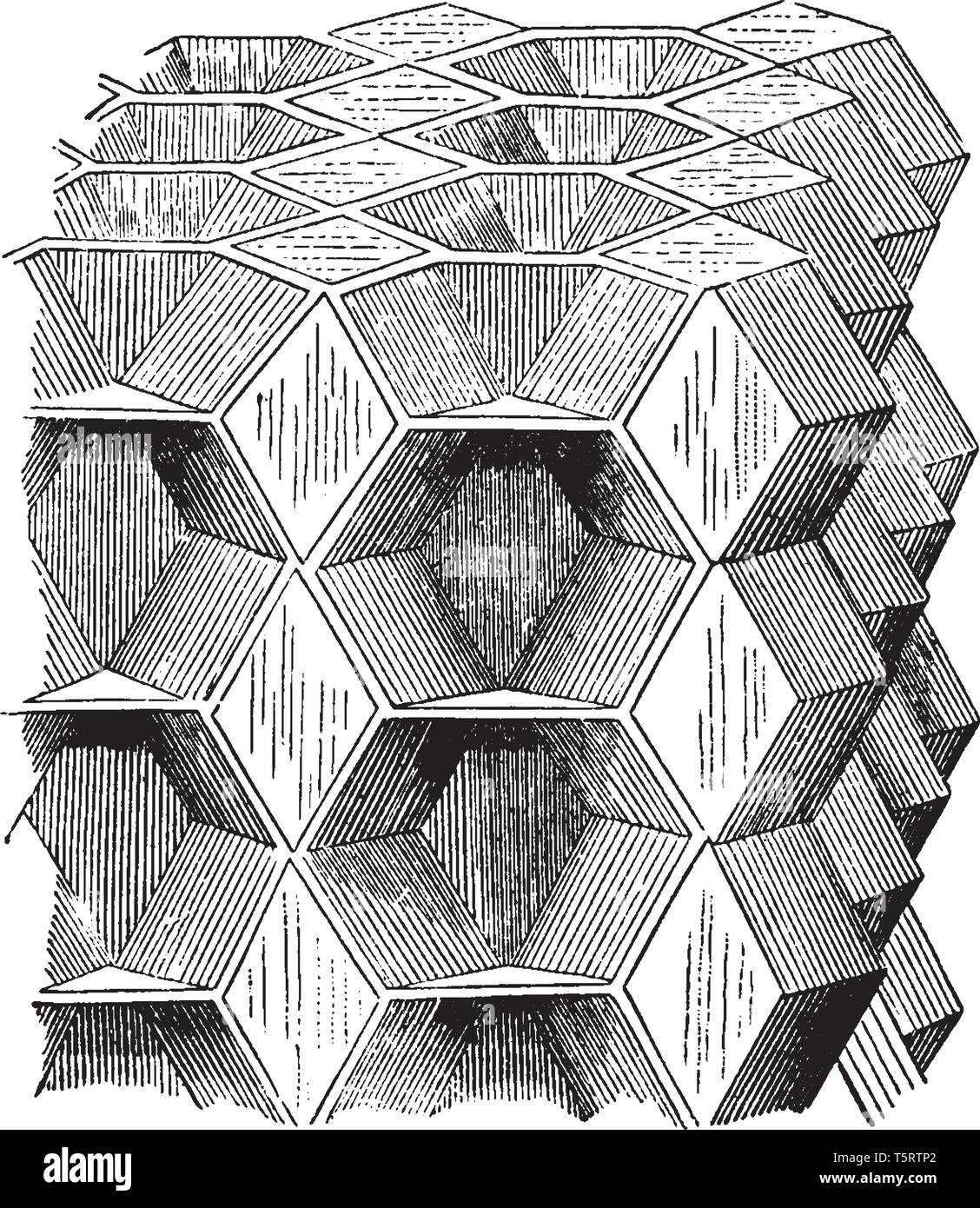 Tissue sections Stock Vector Images - Alamy