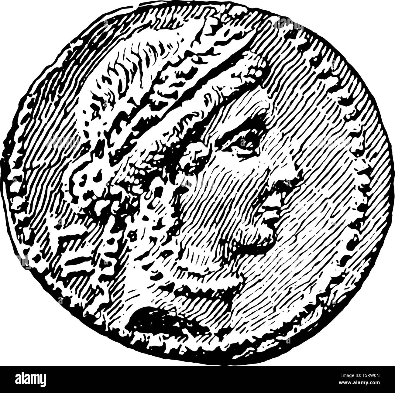 Julius Caesar Coin Drawing