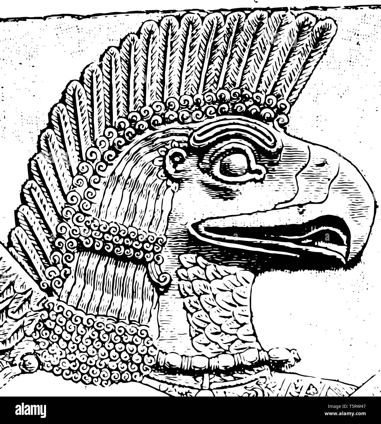 Genius Black and White Stock Photos & Images - Alamy