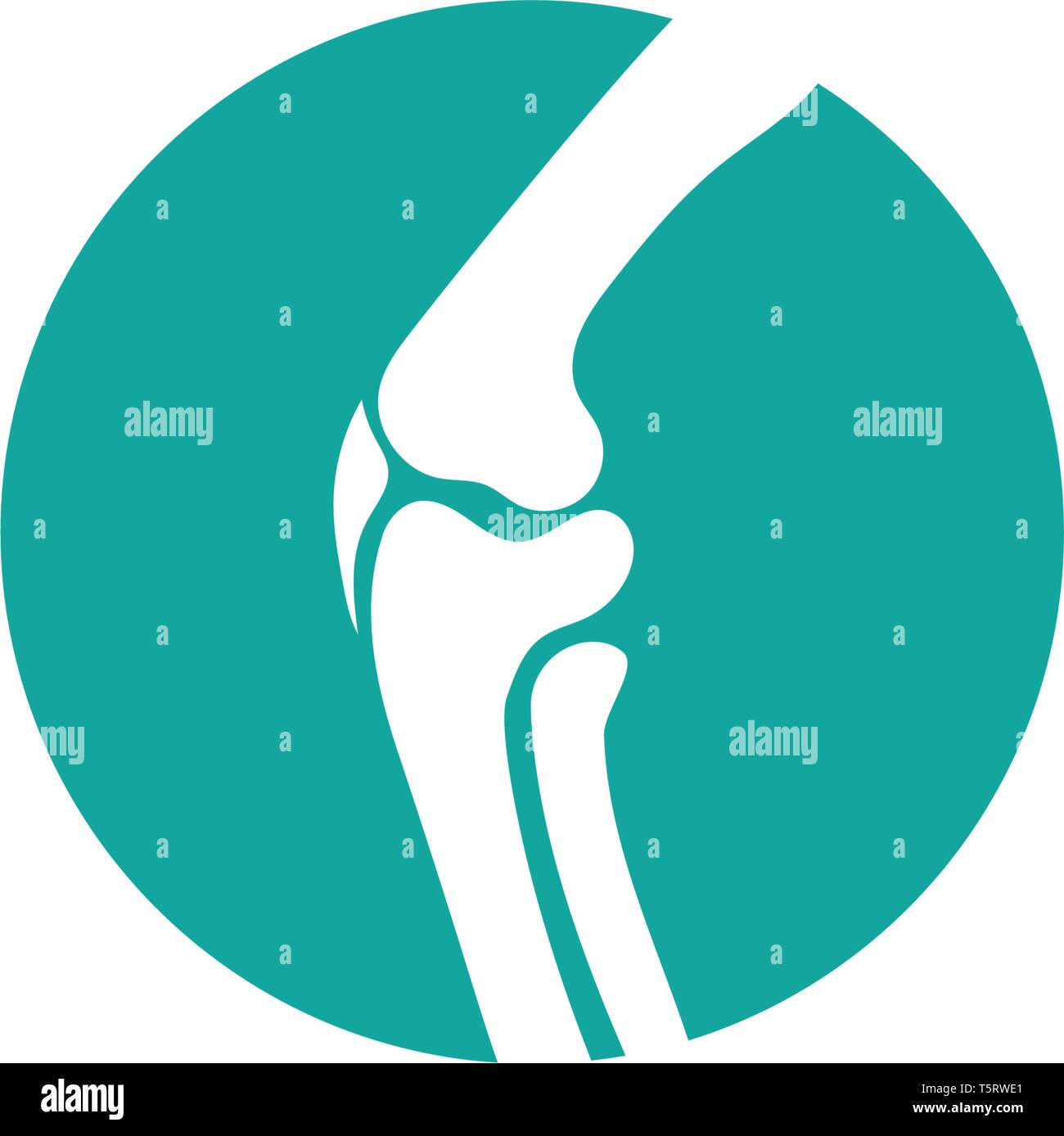 Bone logo vector template Stock Vector Image & Art - Alamy