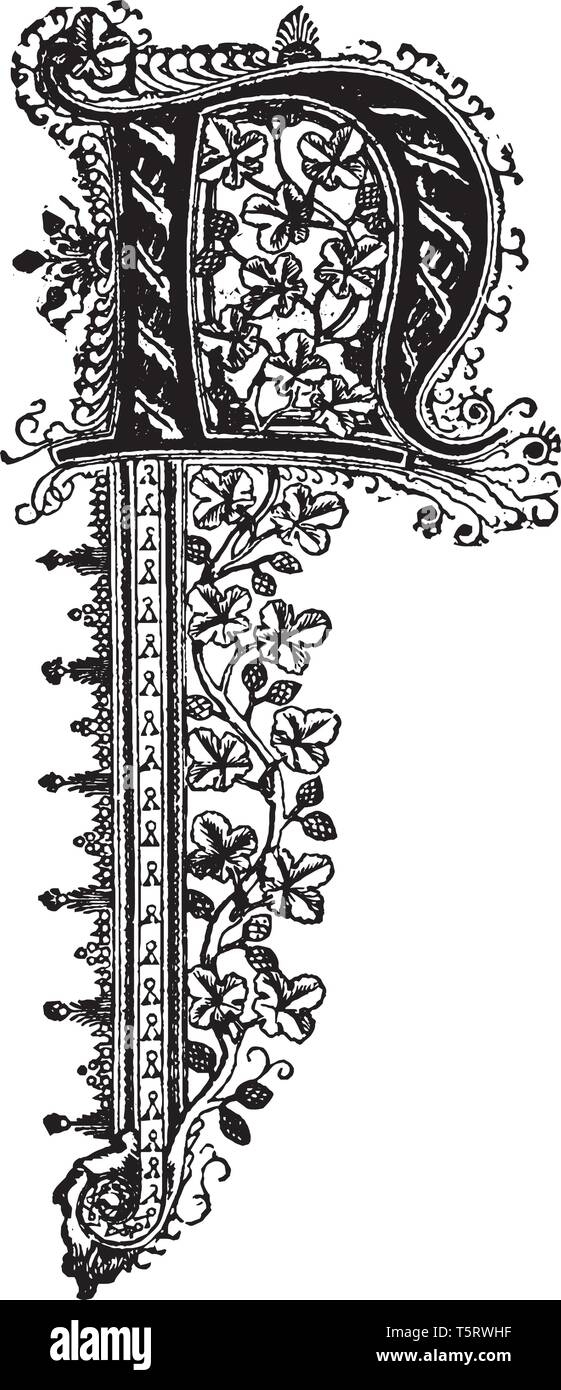 An ornamental and decorative letter N, vintage line drawing or ...