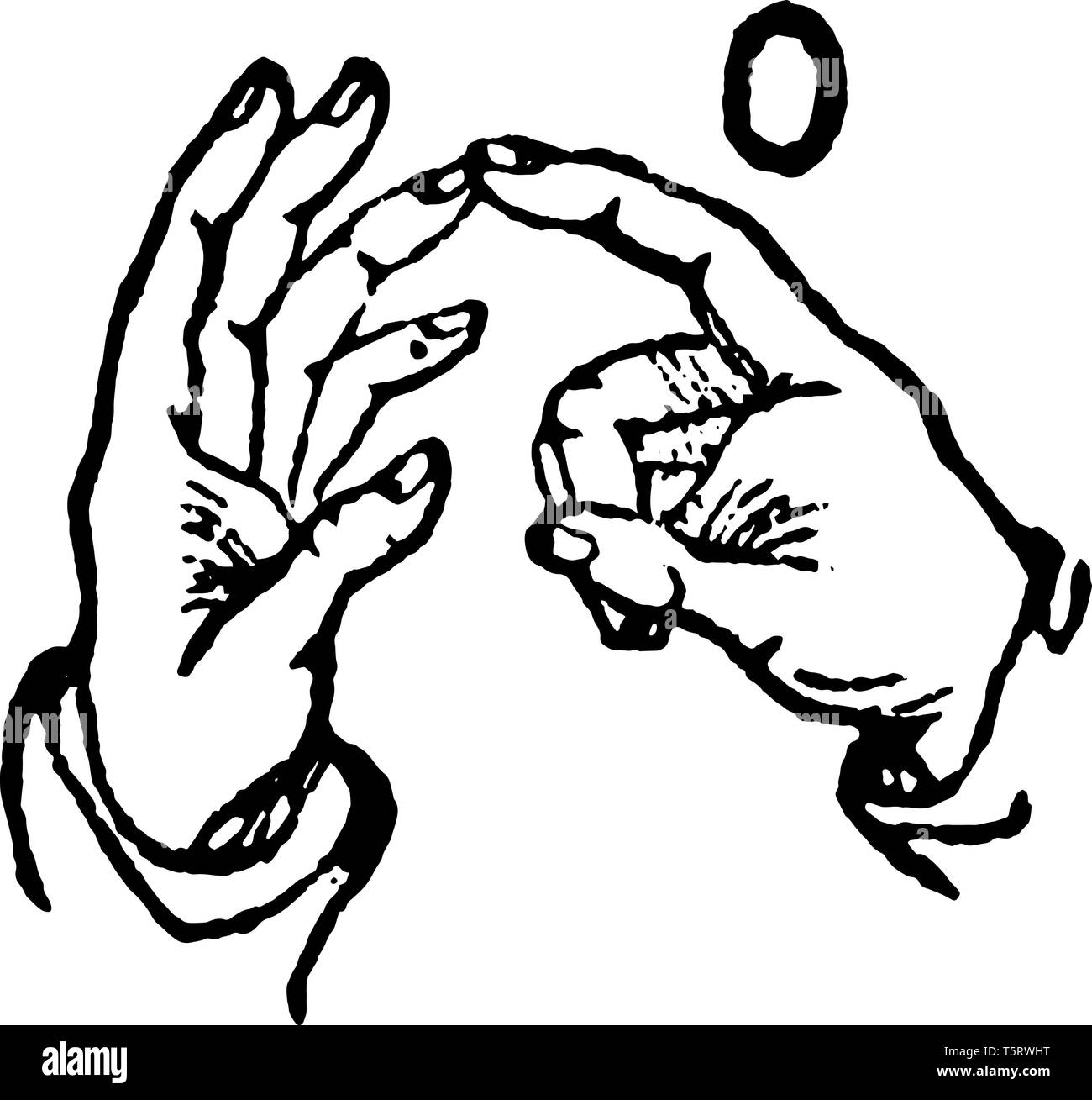 This image shows the two-hand sign for O, vintage line drawing or ...