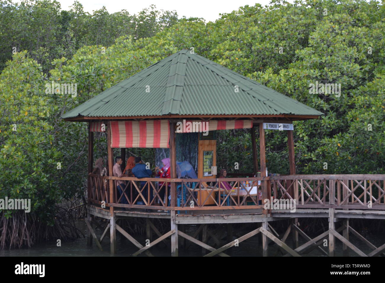 mangrove forest tourism Stock Photo - Alamy