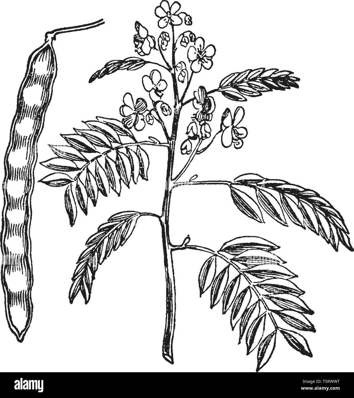 Khi Stock Vector Images - Alamy