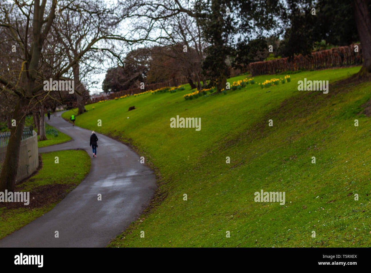 Dublin, Ireland – March 2019. Famous Phoenix Park in Dublin Stock Photo ...