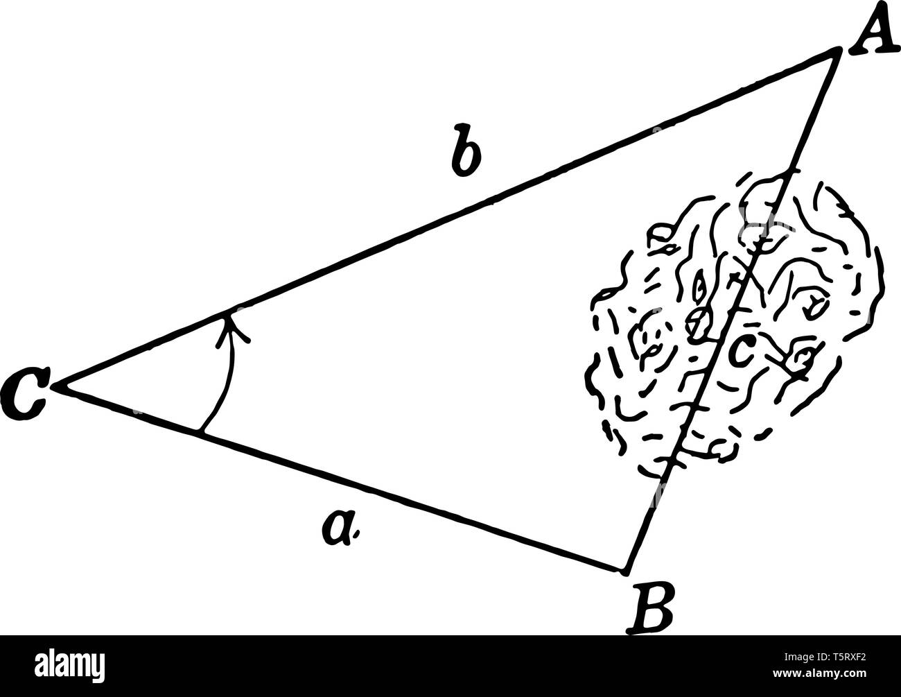 Position oblique Stock Vector Images - Alamy