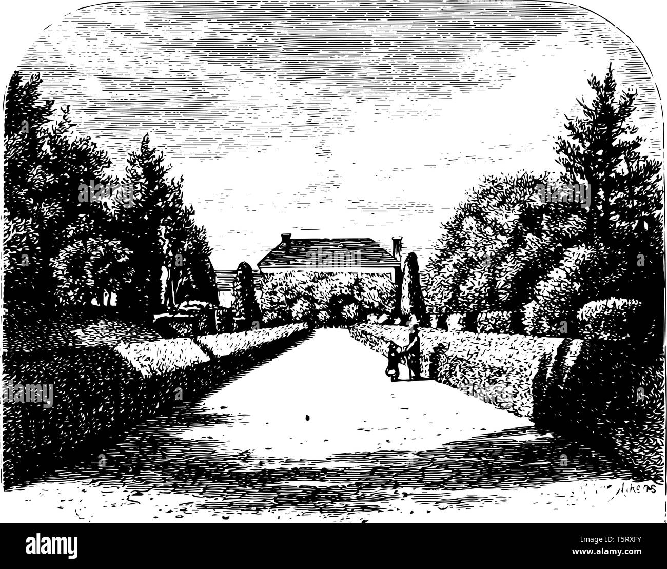 Drawing line mississippi Black and White Stock Photos & Images - Alamy