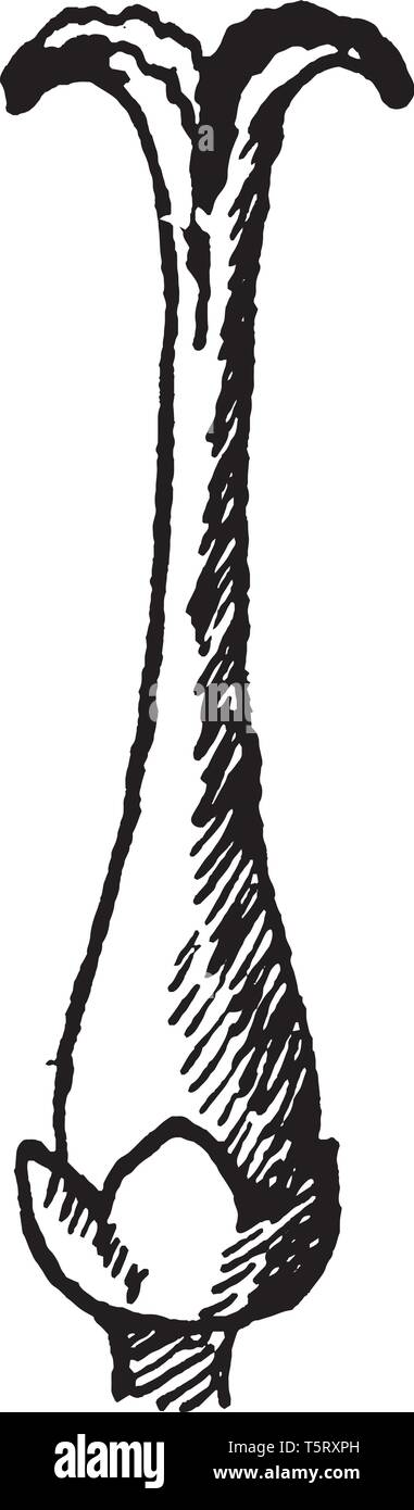 Ash bottom ash Stock Vector Images - Alamy