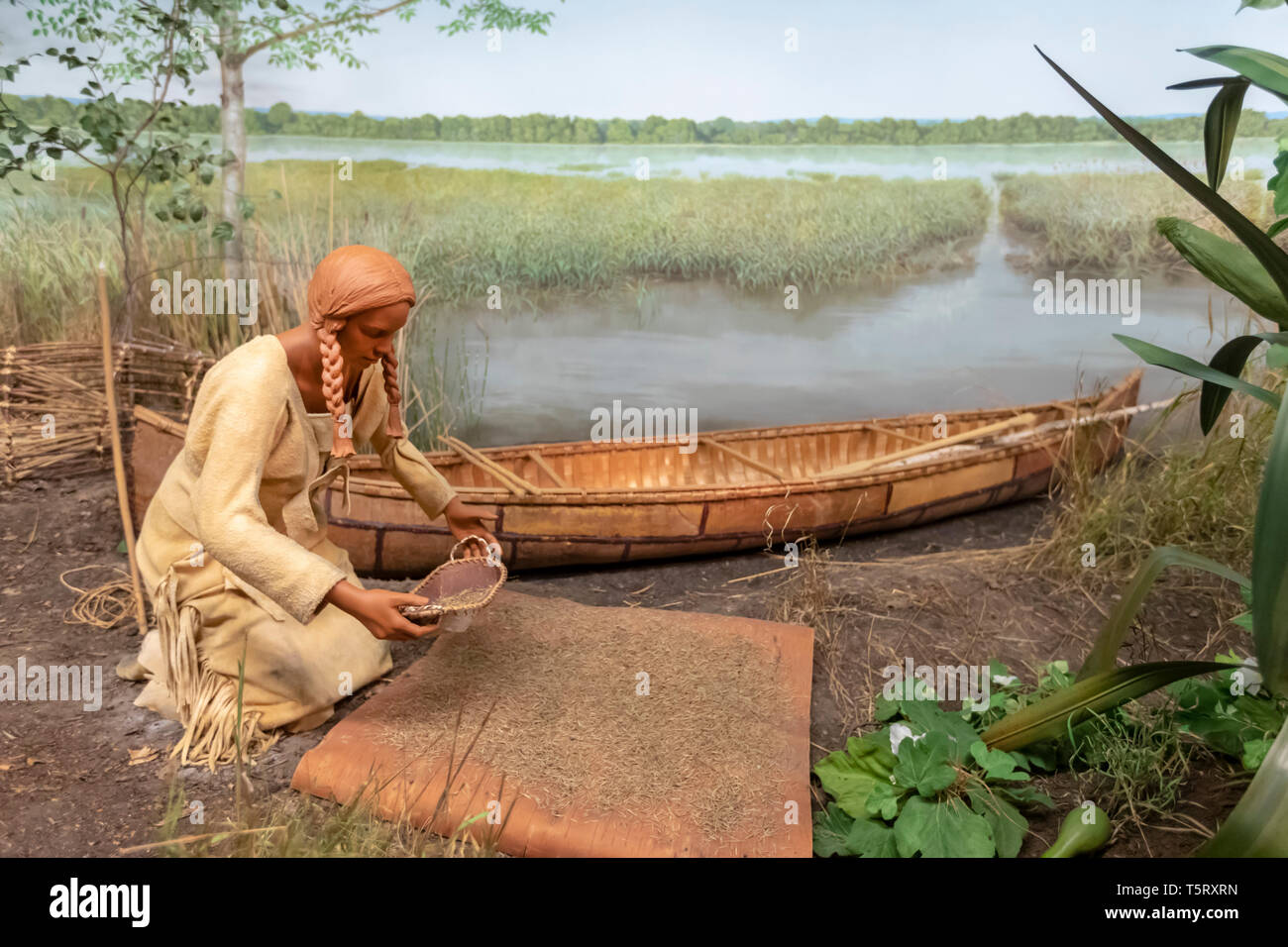 Mt. Pleasant, Michigan - A woman processes wild rice in an exhibit at ...