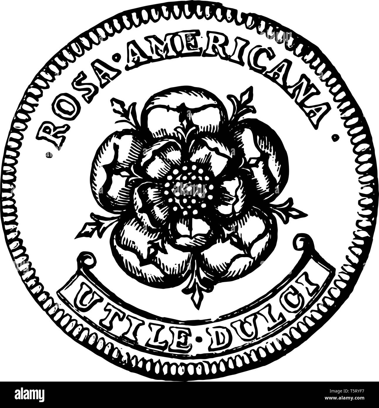 A picture is showing Copper Two Pence Coin, No Date. It shows the ...