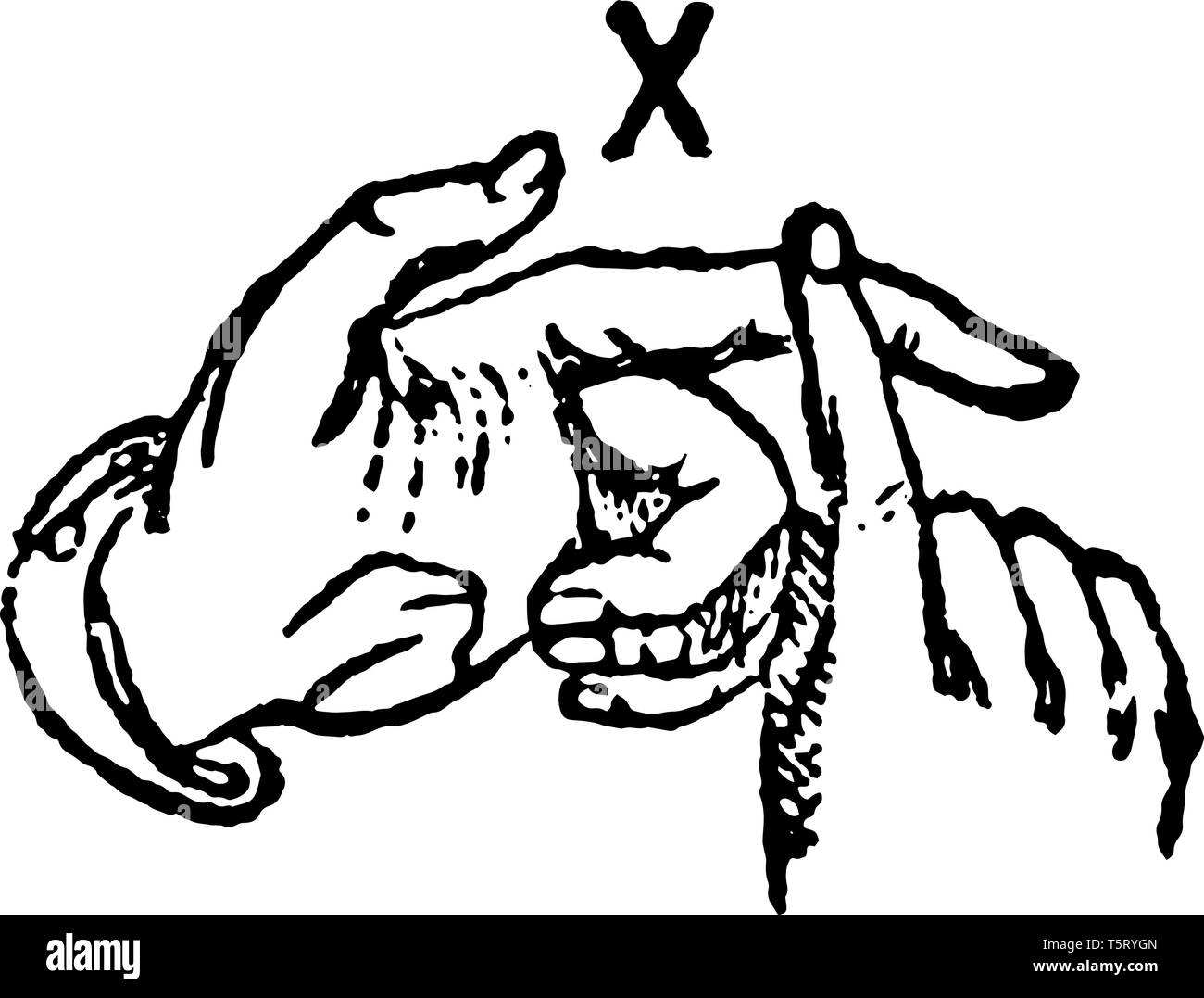 This image shows two hand signals for X, vintage line drawing or ...