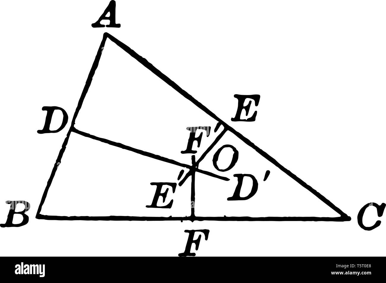 Circumcenter Of Right Triangle