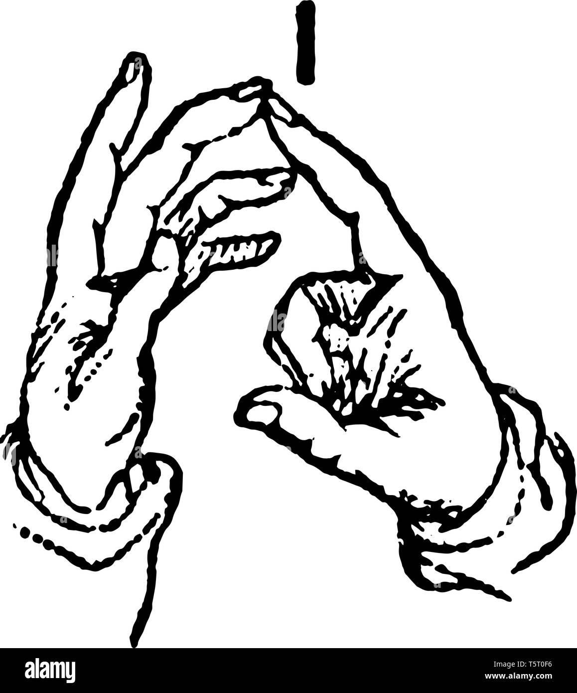 This image shows the two-hand sign for I, vintage line drawing or ...