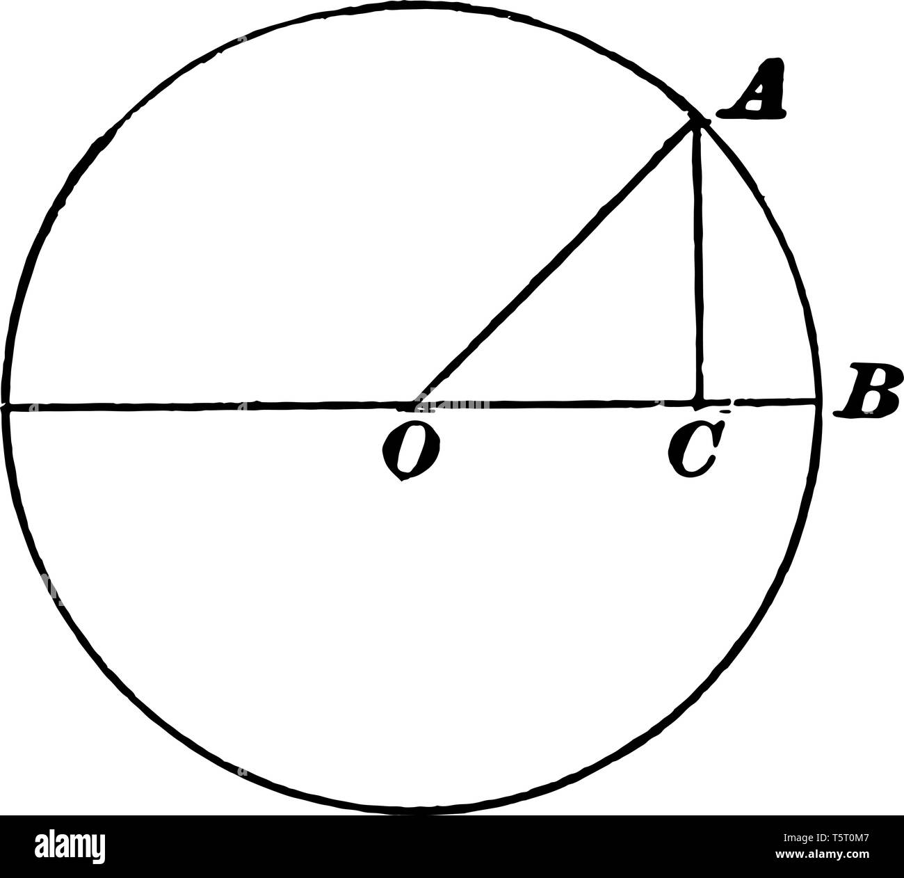This image consists of a circle. The triangle is included in the circle ...