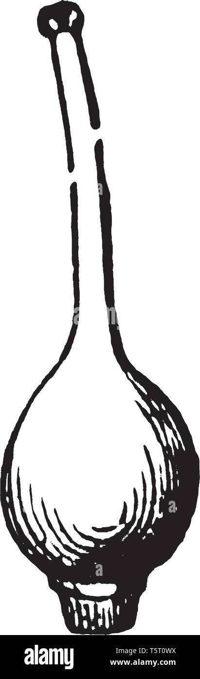 This picture is showing a pistil. This is a center part of flower. The ...