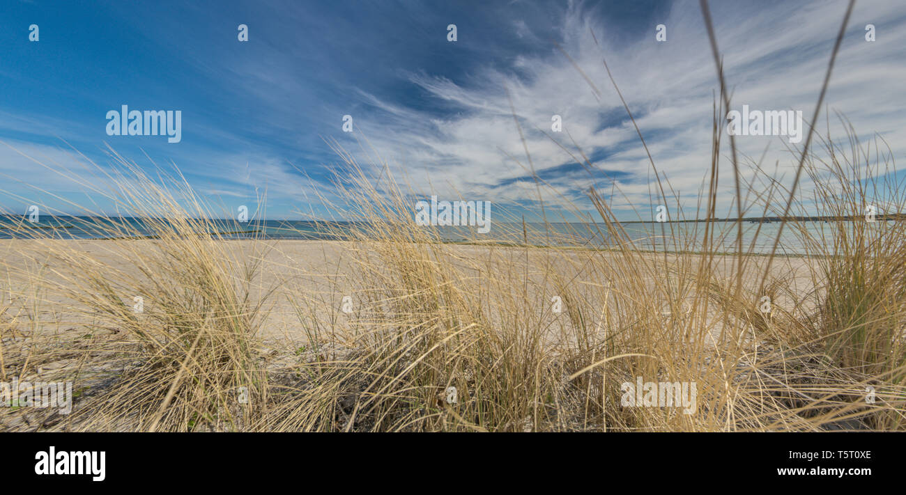 a panoramic view of the Baltic Sea beach in Boltenhagen Stock Photo - Alamy