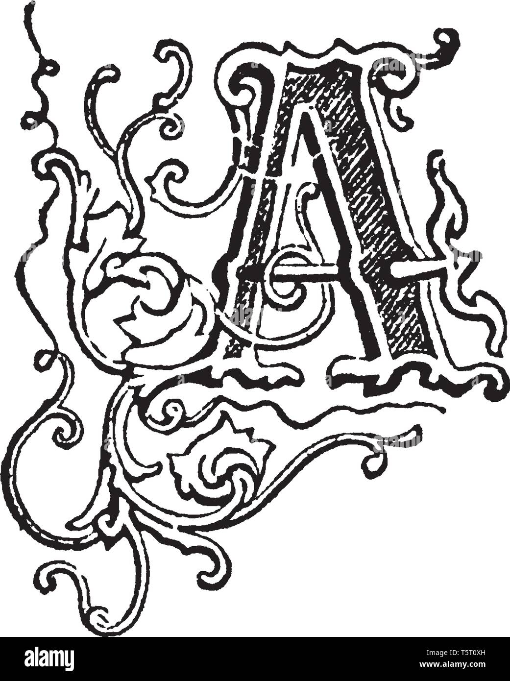An ornamental capital letter A, vintage line drawing or engraving ...