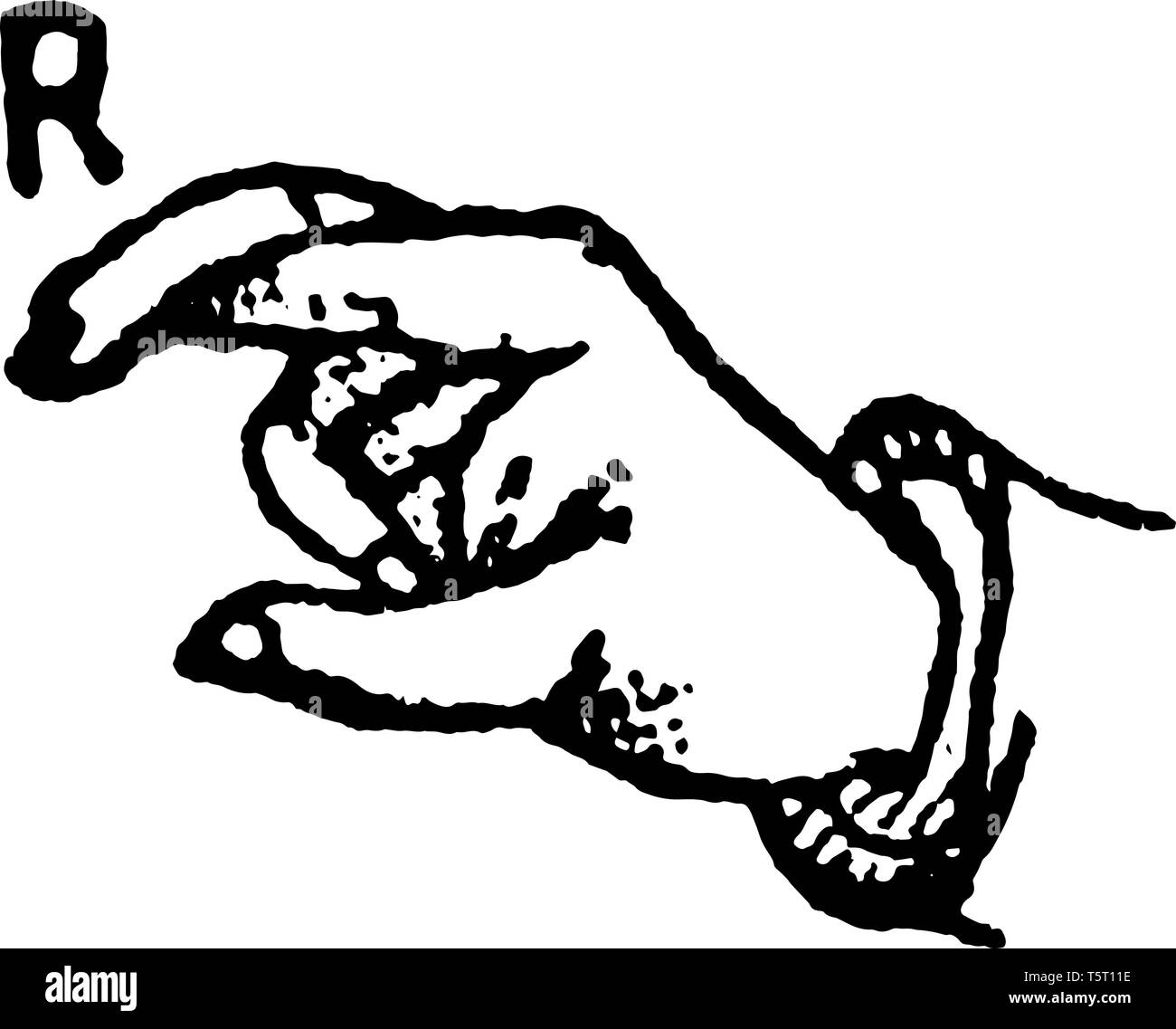 This image represents one handed Sign for R, vintage line drawing or ...