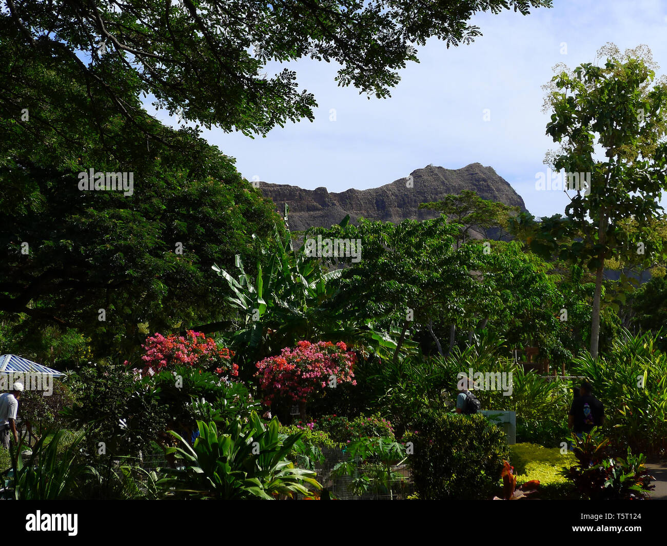 Diamond head trail waikiki oahu hi-res stock photography and images - Alamy