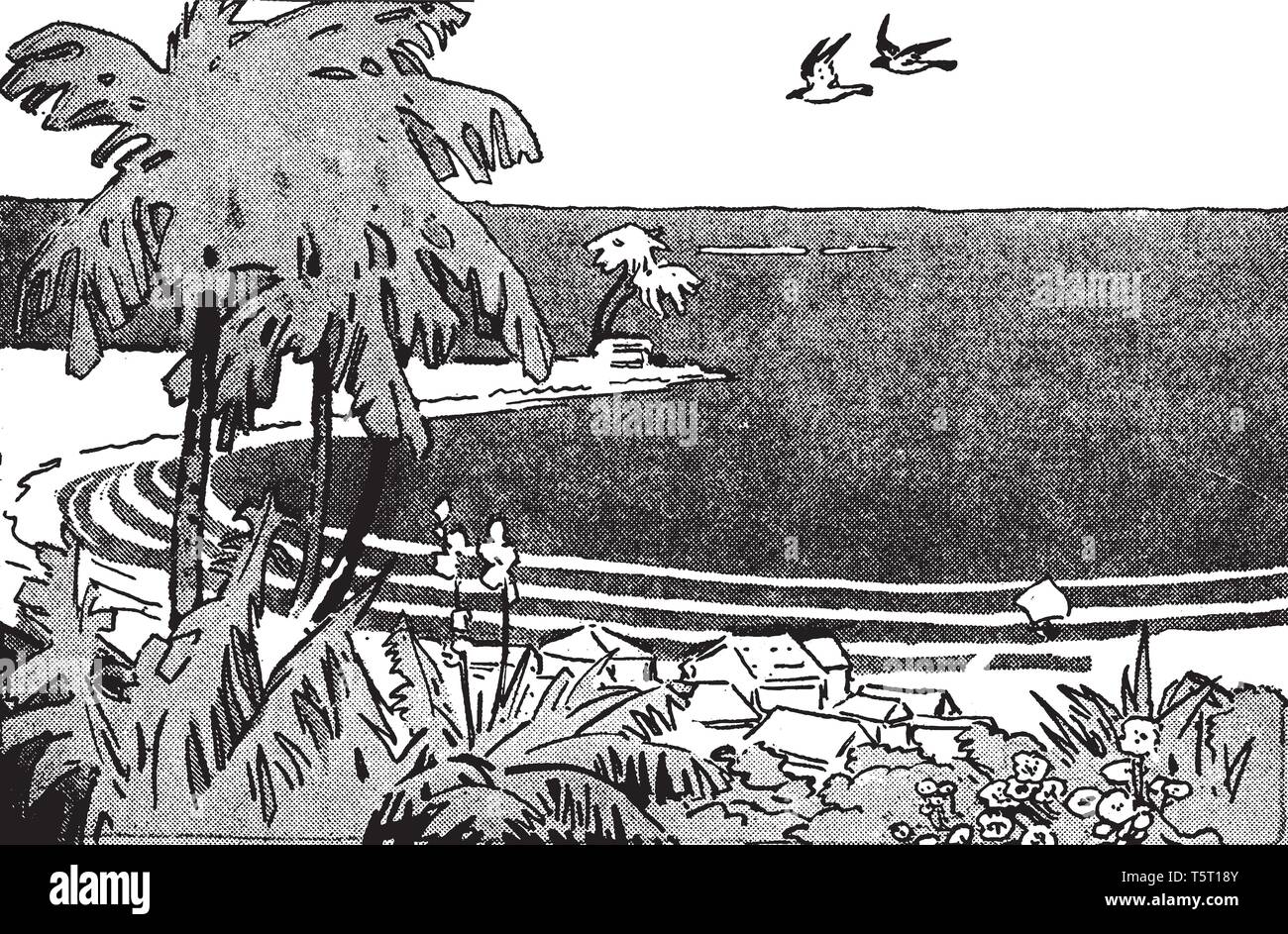 Birds beach Stock Vector Images - Alamy