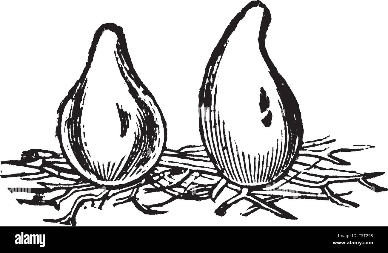 Diameter 10 cm Cut Out Stock Images & Pictures - Alamy