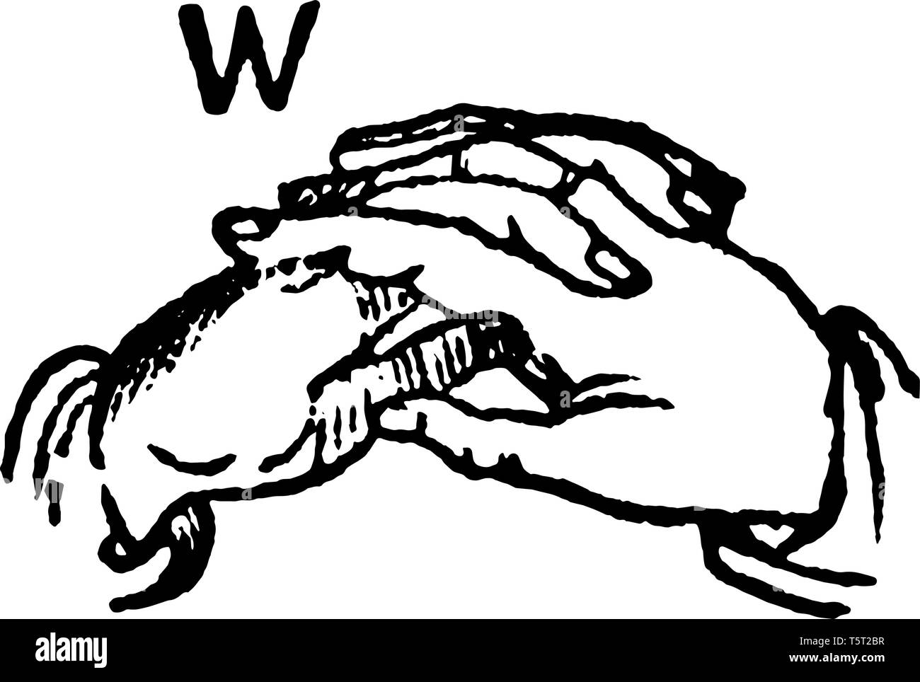 This image shows the two-hand sign for W, vintage line drawing or ...