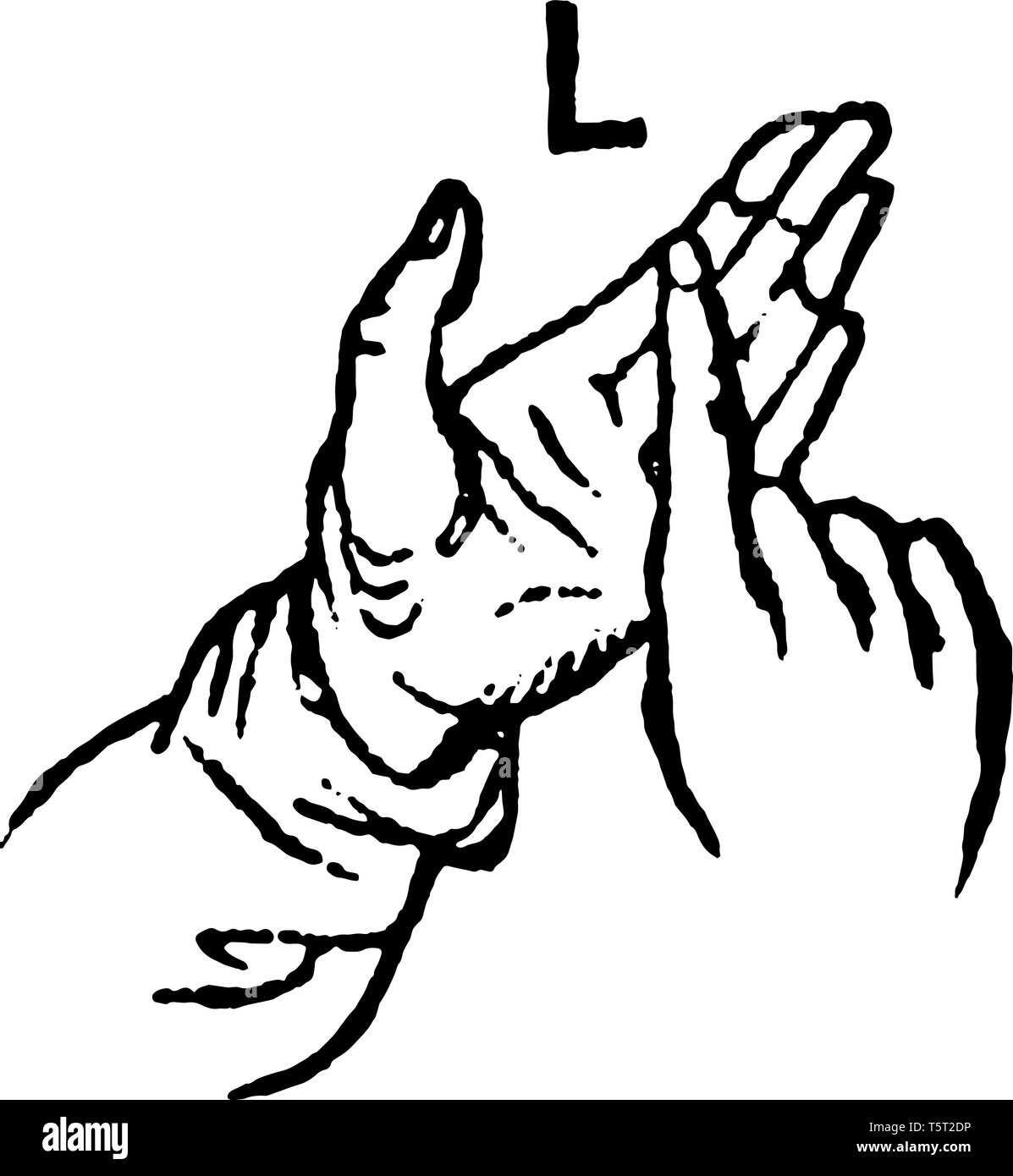 Hand signals Cut Out Stock Images & Pictures - Alamy