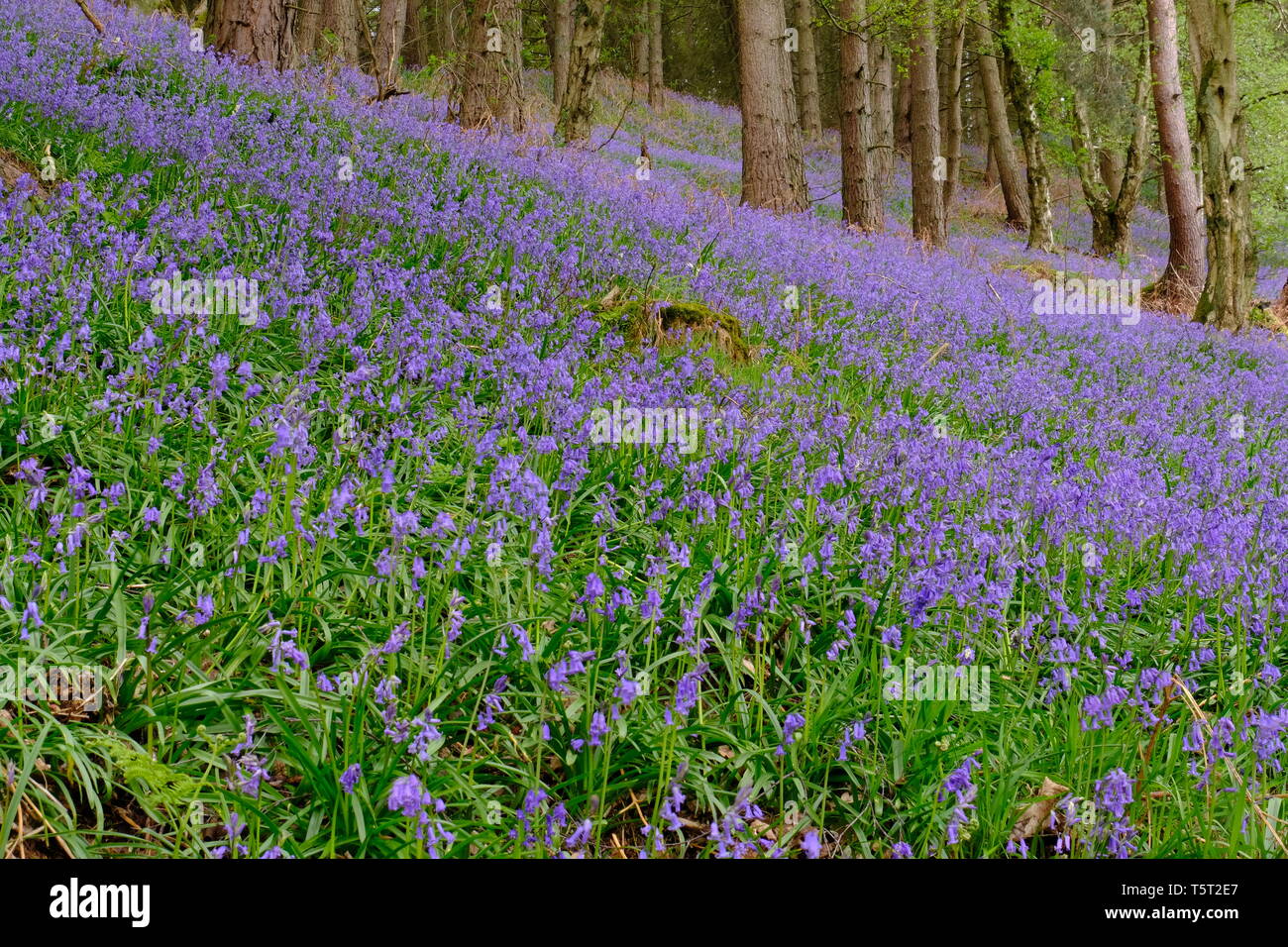 Non perennial river hi-res stock photography and images - Alamy