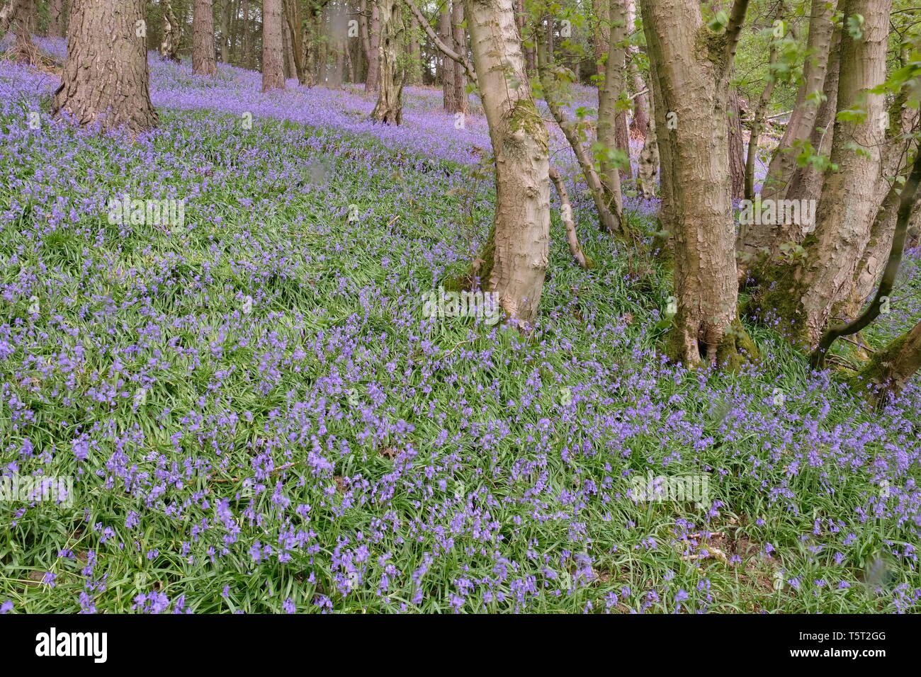 Non perennial river hi-res stock photography and images - Alamy