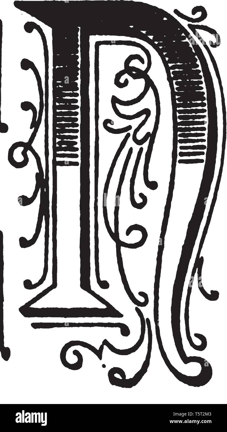 An ornamental and decorative letter N, vintage line drawing or ...
