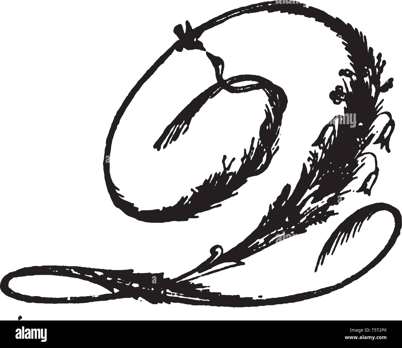 A letter Q in ornamental script, vintage line drawing or engraving ...