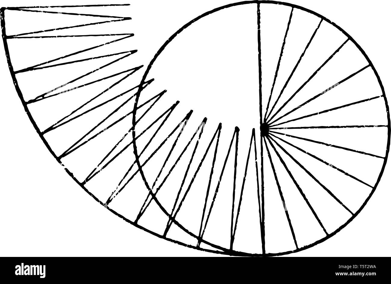 An image that shows that a circle can be considered formed by triangles ...
