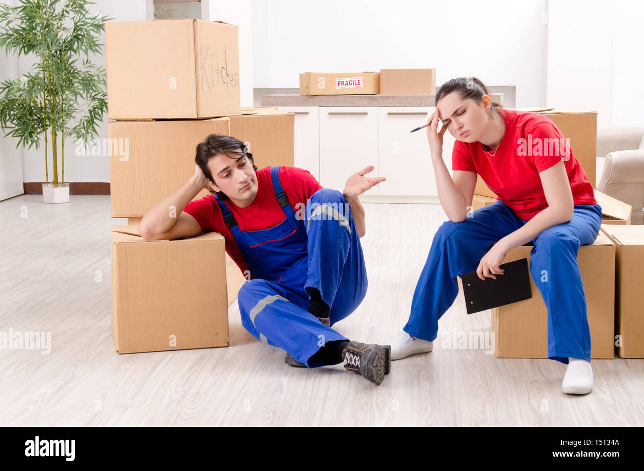 Professional movers doing home relocation Stock Photo - Alamy