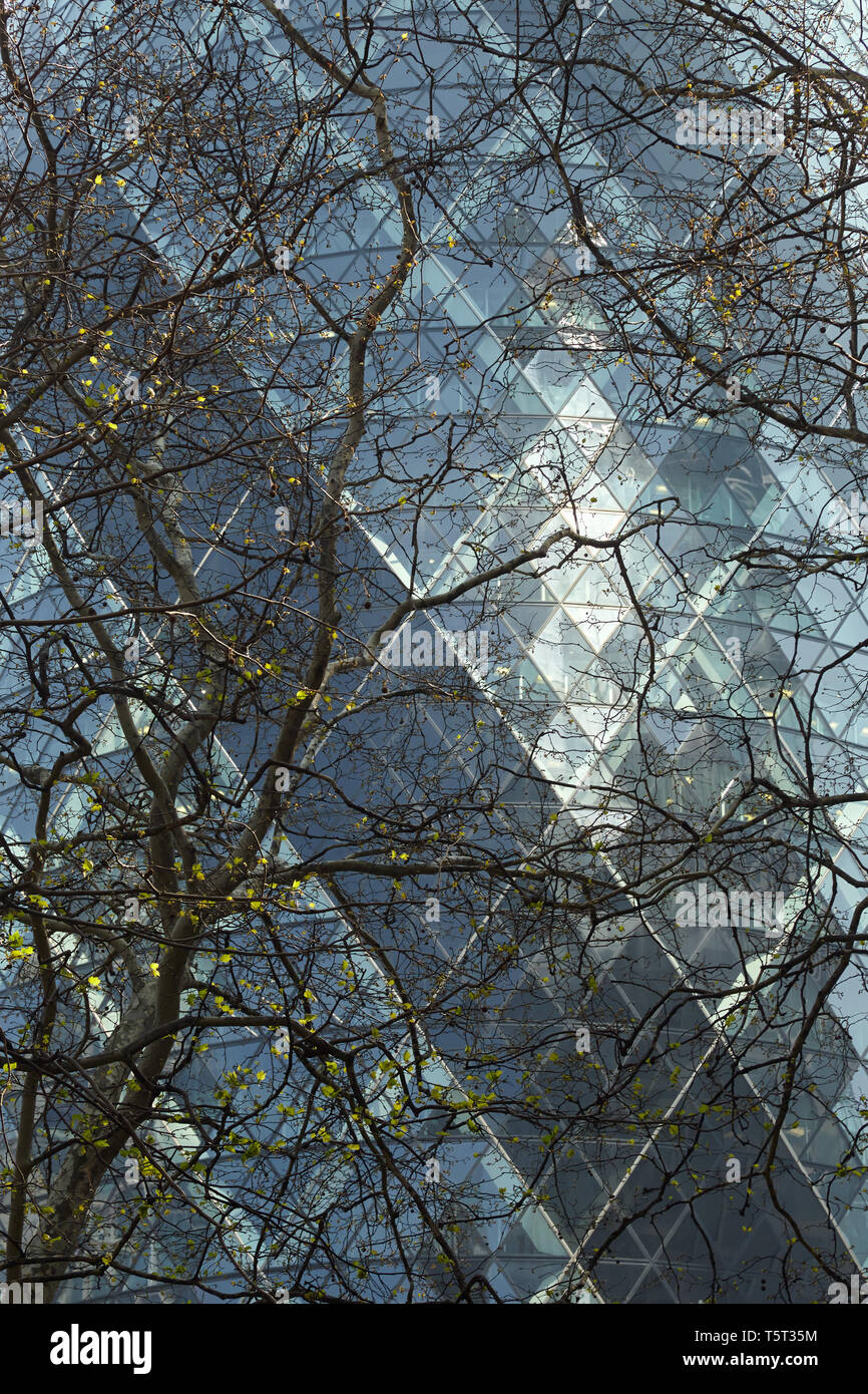 The Gherkin, London with tree in foreground Stock Photo - Alamy