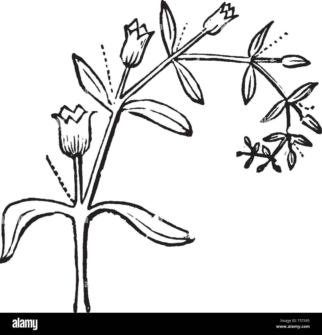 Yezlodz Educational Hacks And Tutorials Uk Passport Psd