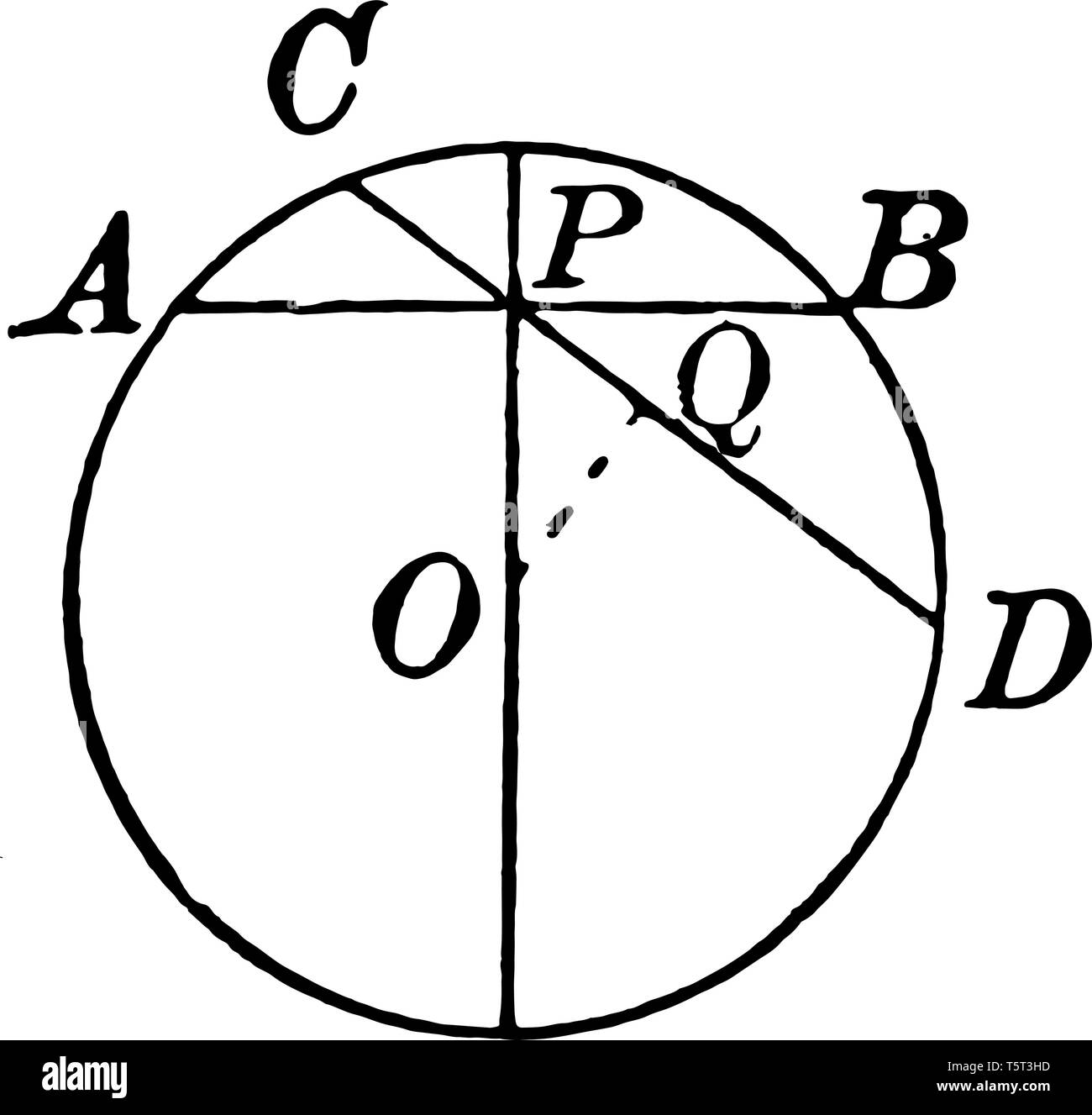An image showing a circle with several chords drawn and labeled ...
