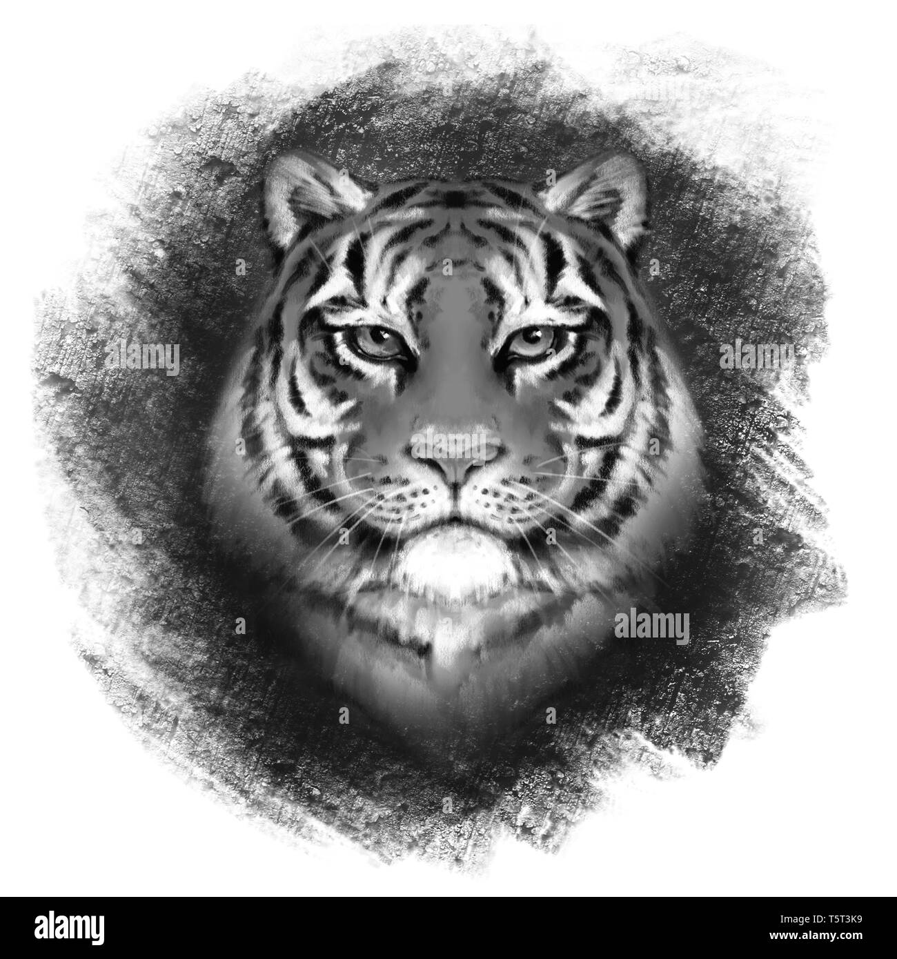 Portrait white wildcat Black and White Stock Photos & Images - Alamy