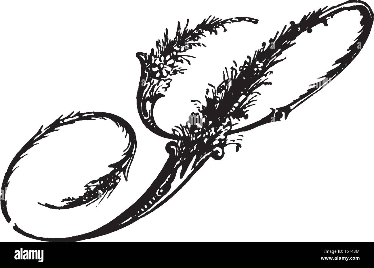 A letter S in ornamental script, vintage line drawing or engraving ...